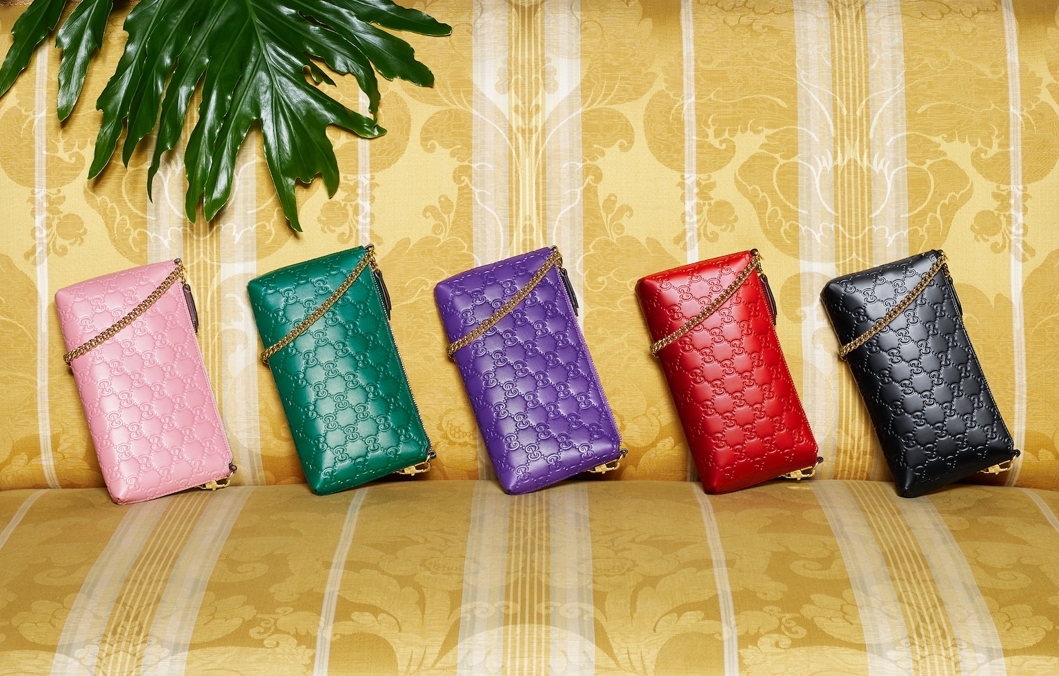 Gucci Signature - Gucci Stories