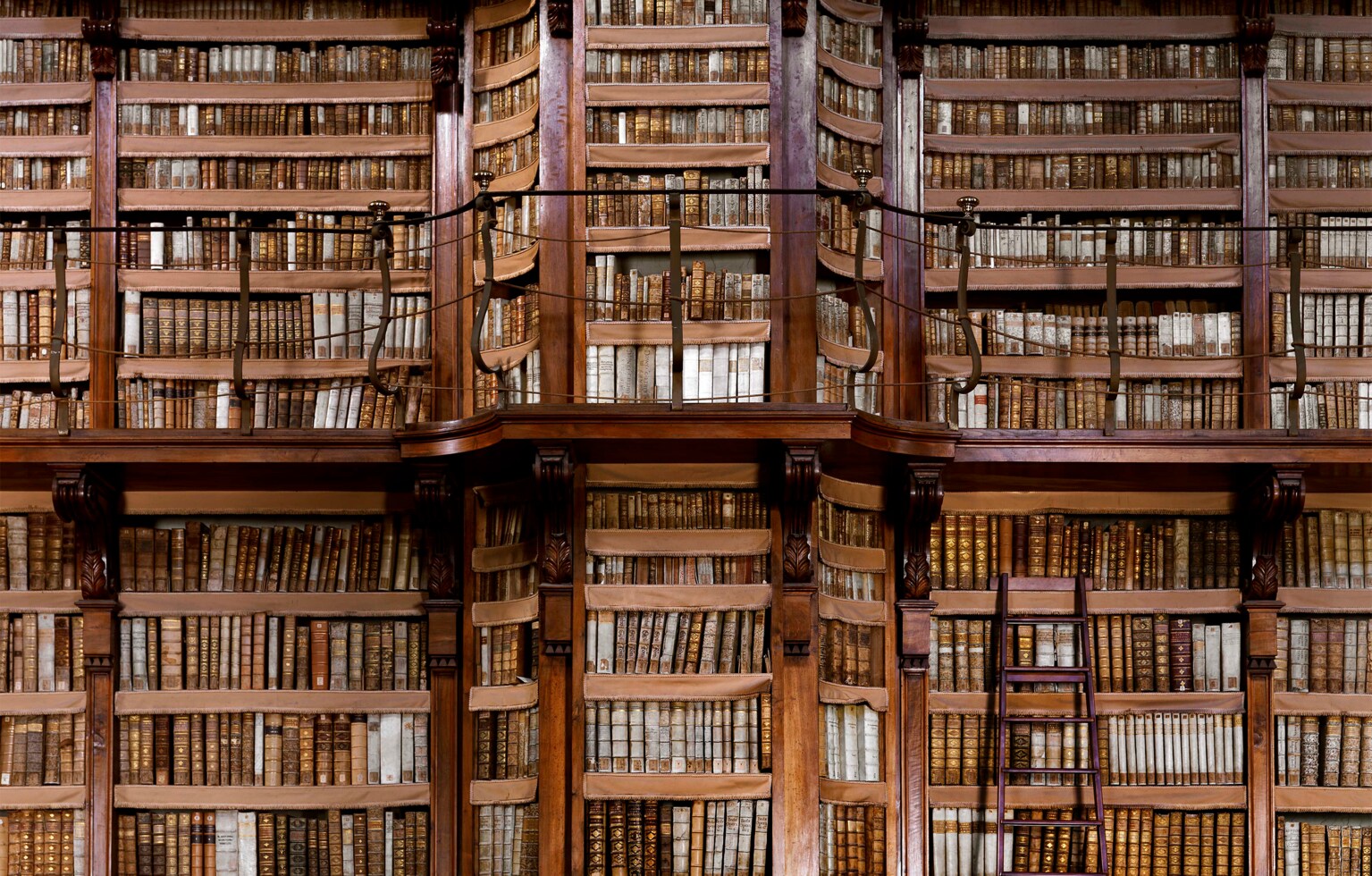 The Angelica Library: the first public library in Europe - Gucci Stories