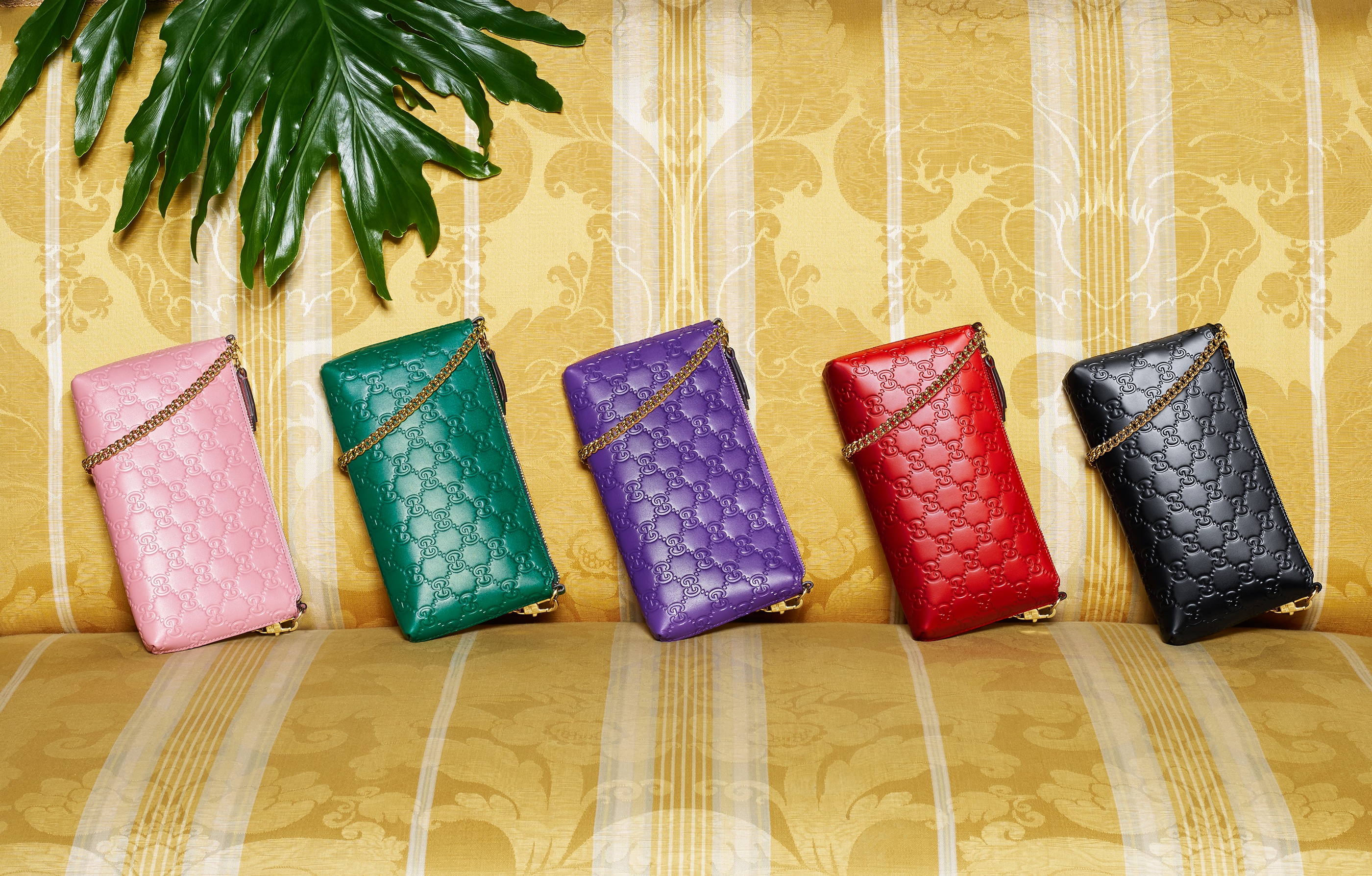 Gucci Signature - Gucci Stories