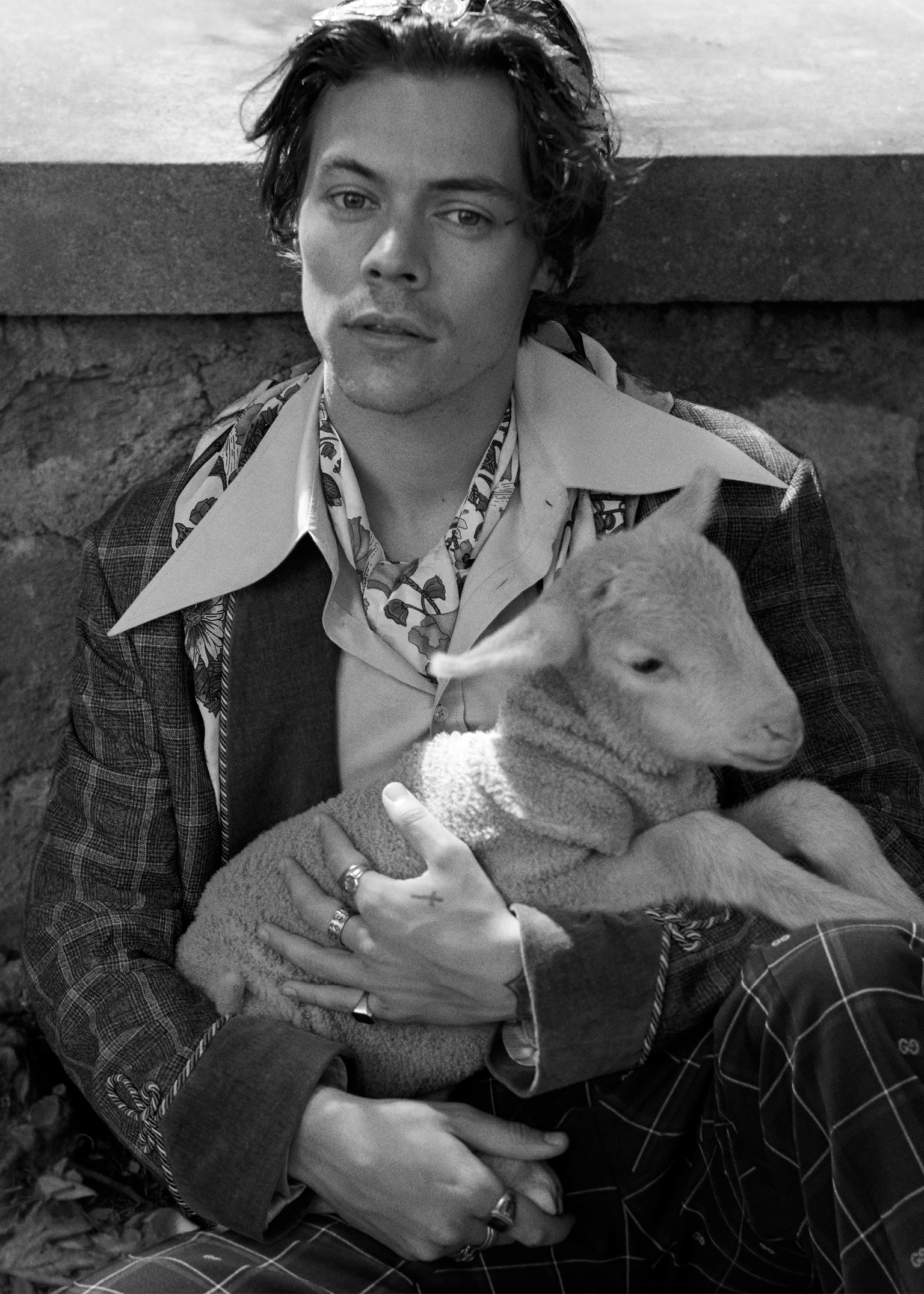 Harry Styles returns in a new Gucci Tailoring campaign shot in the ...