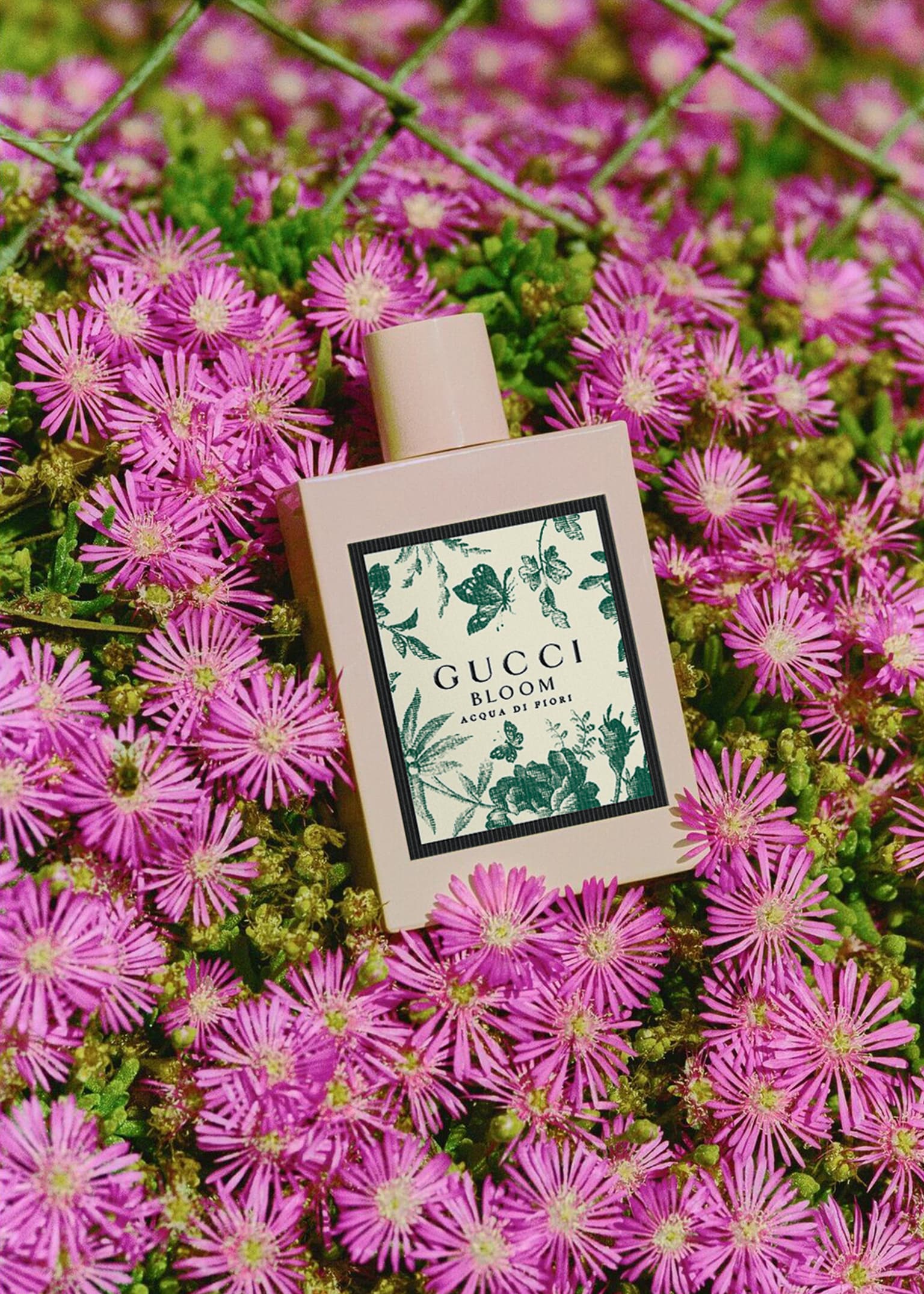 The trio of Gucci Bloom scents are cast in Instagram posts by female ...