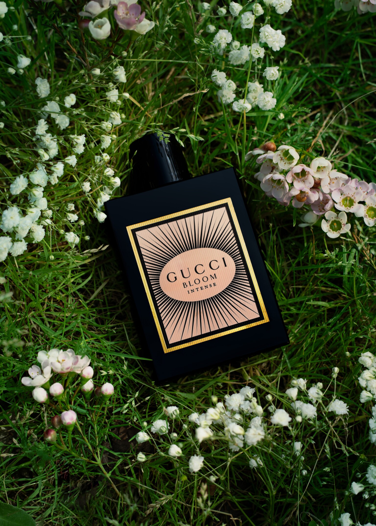 Writer Cleo Wade’s hometown of New Orleans inspires her awakening in a ...