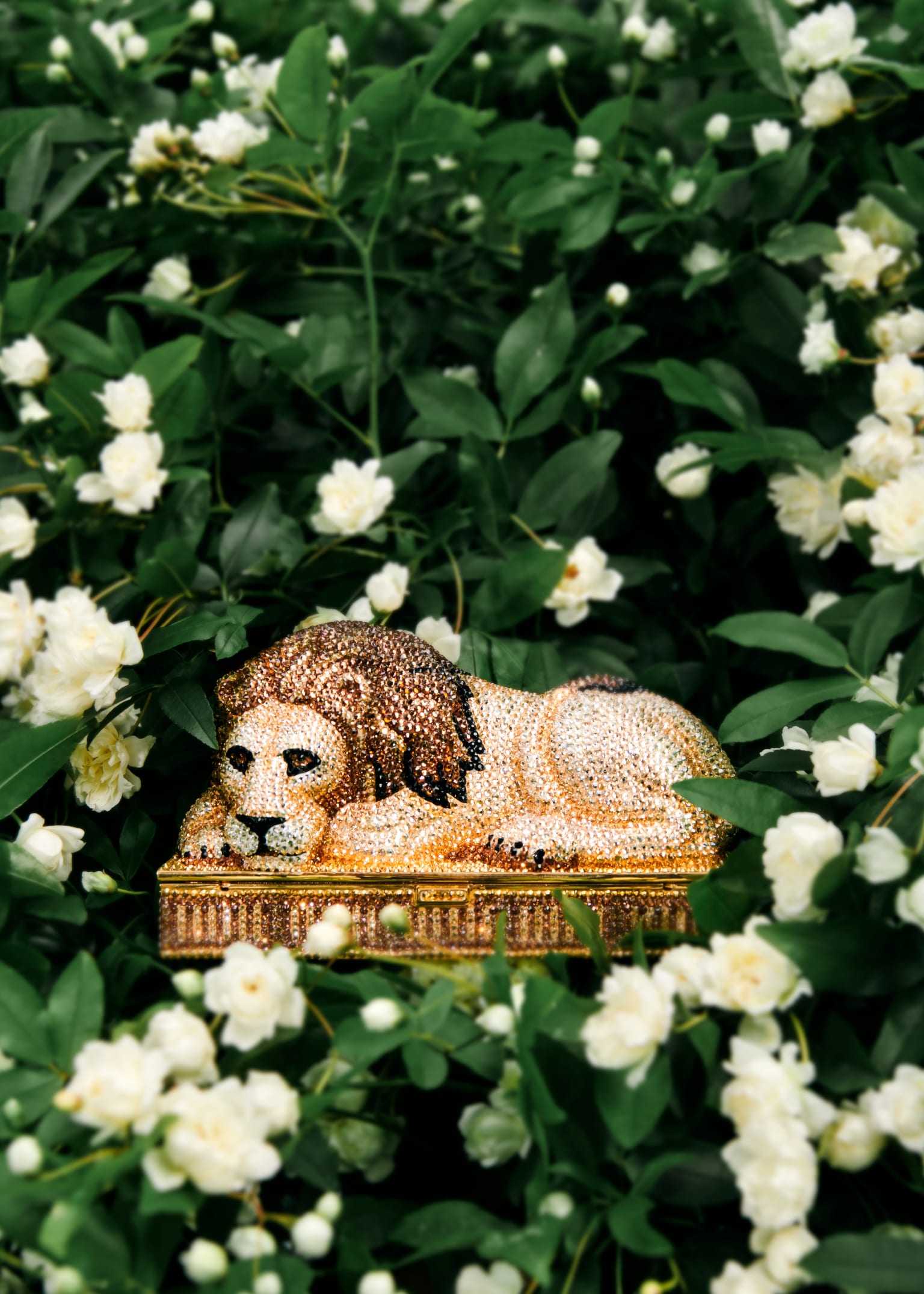 Vault Summer captures the spirit of the season with an eclectic line-up ...