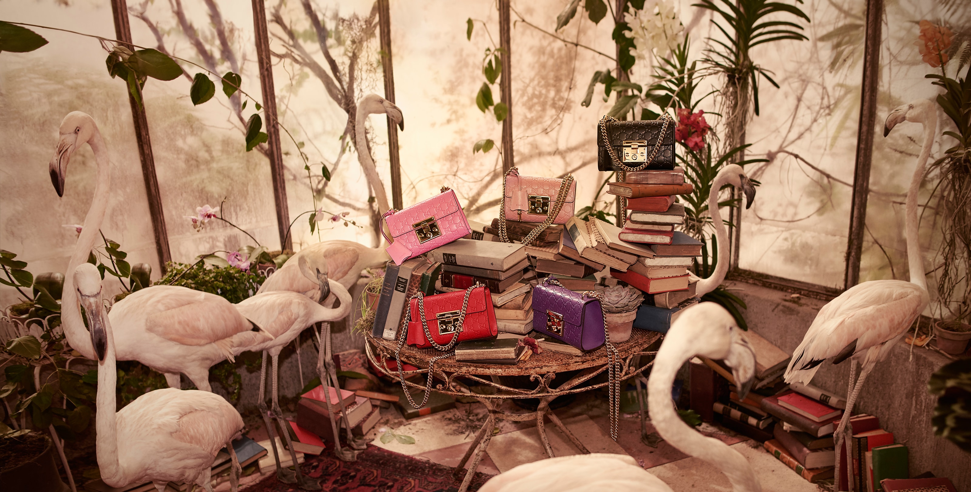 Gucci Signature - Gucci Stories