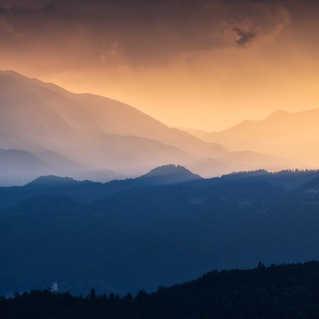 구찌 지구 - 긍정적인 환경 영향 | 구찌® KR