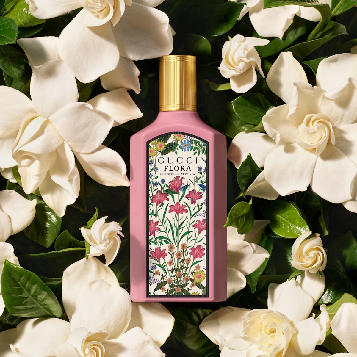 Gucci Flora Gorgeous Gardenia | Luxus-Düfte DE