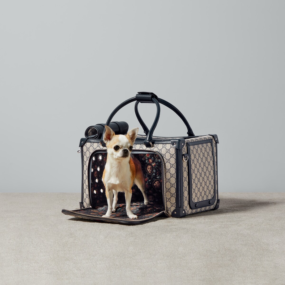 Small GG pet carrier with Web in beige and blue Supreme | GUCCI® US