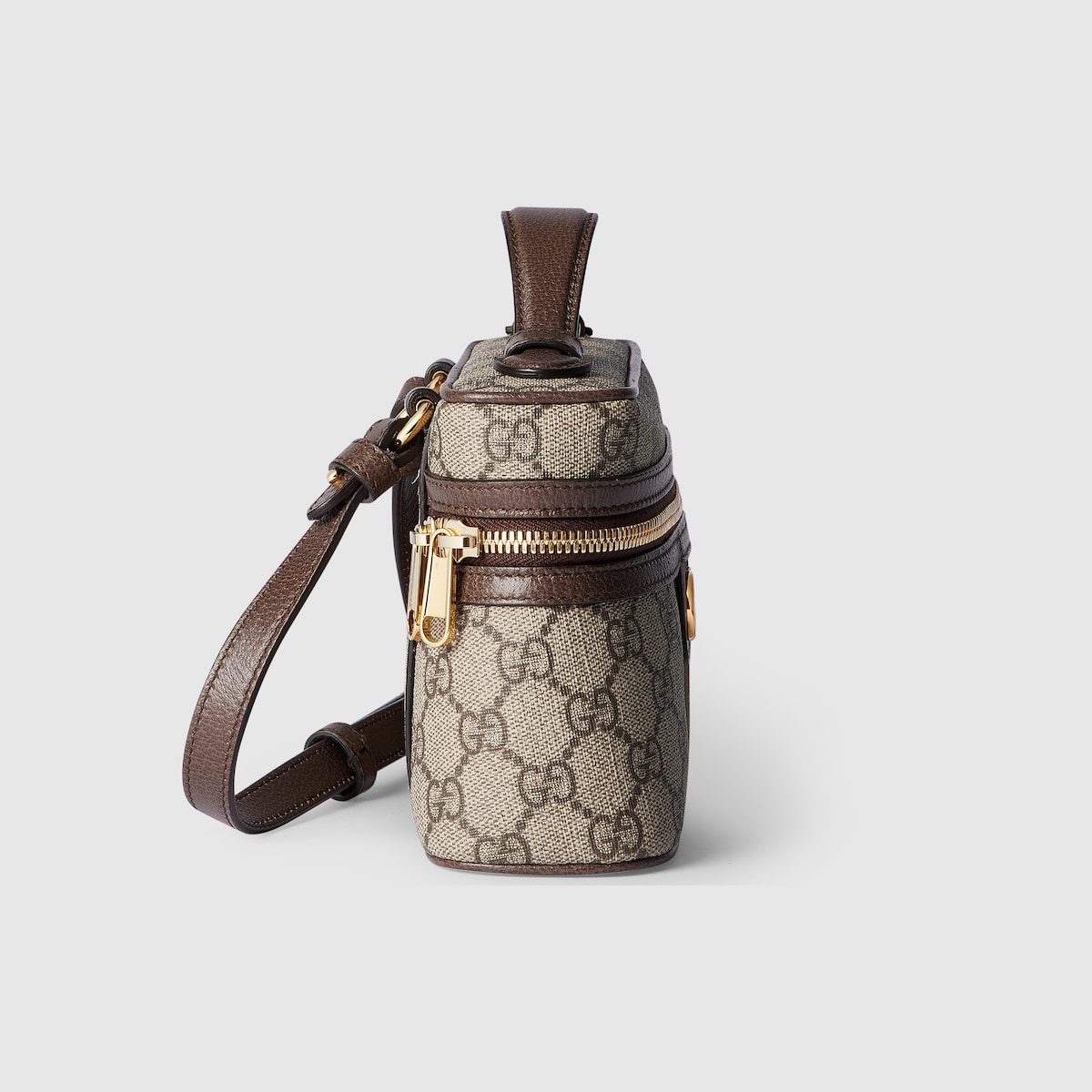 Ophidia small vanity bag in beige and dark brown Supreme | GUCCI® Canada