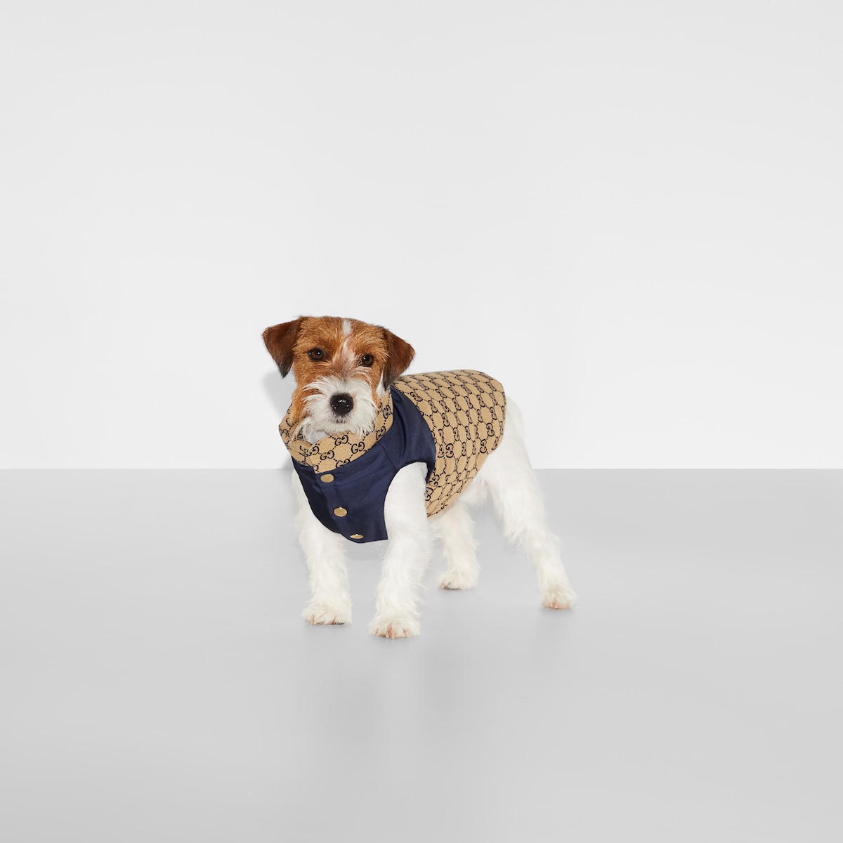 Reversible GG pet coat in beige and blue | GUCCI® US