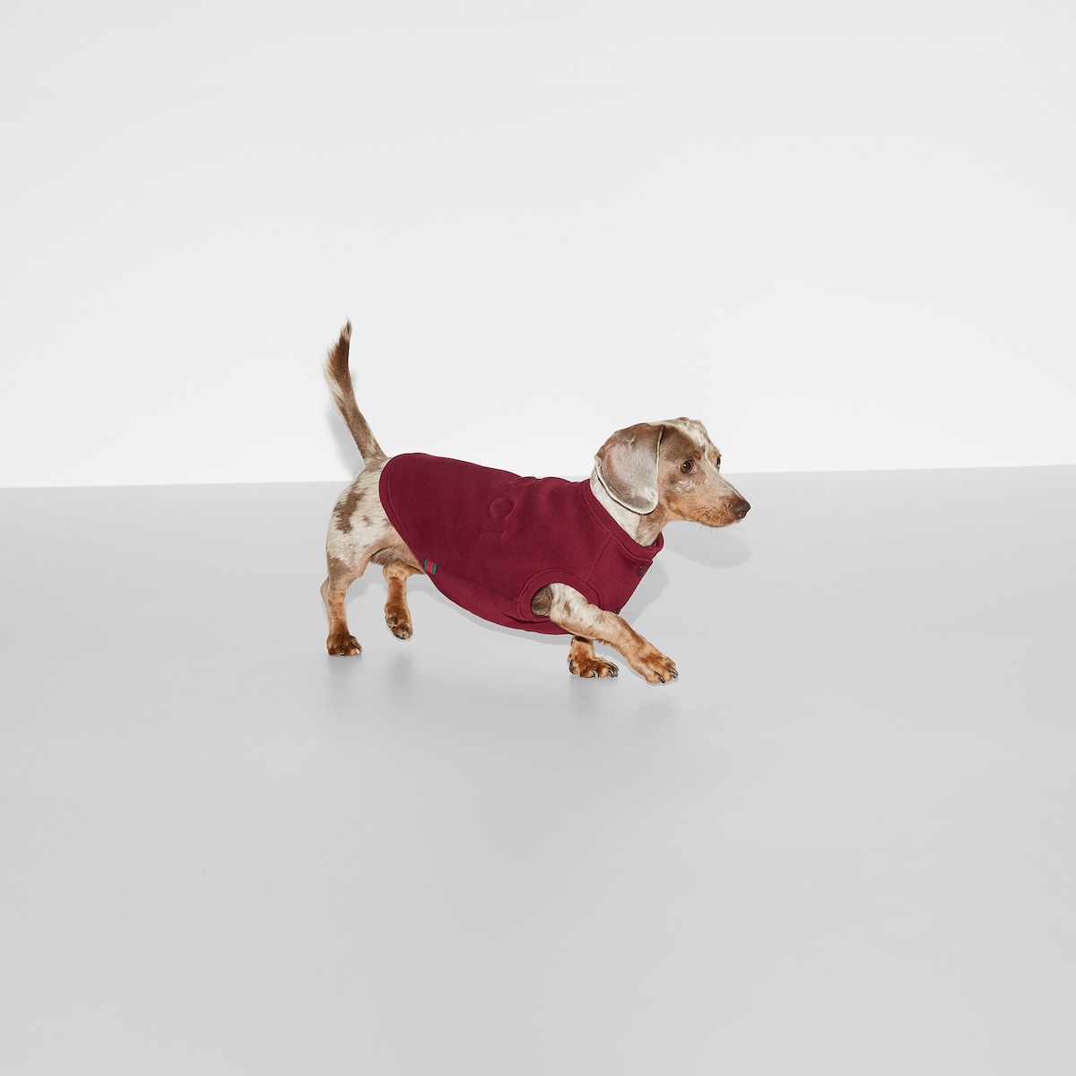 Embossed cotton pet sweatshirt in rosso ancora red | GUCCI® US