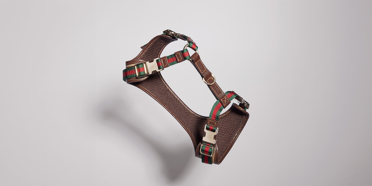 Extra-small padded pet harness in sand and brown GG canvas | GUCCI® AU