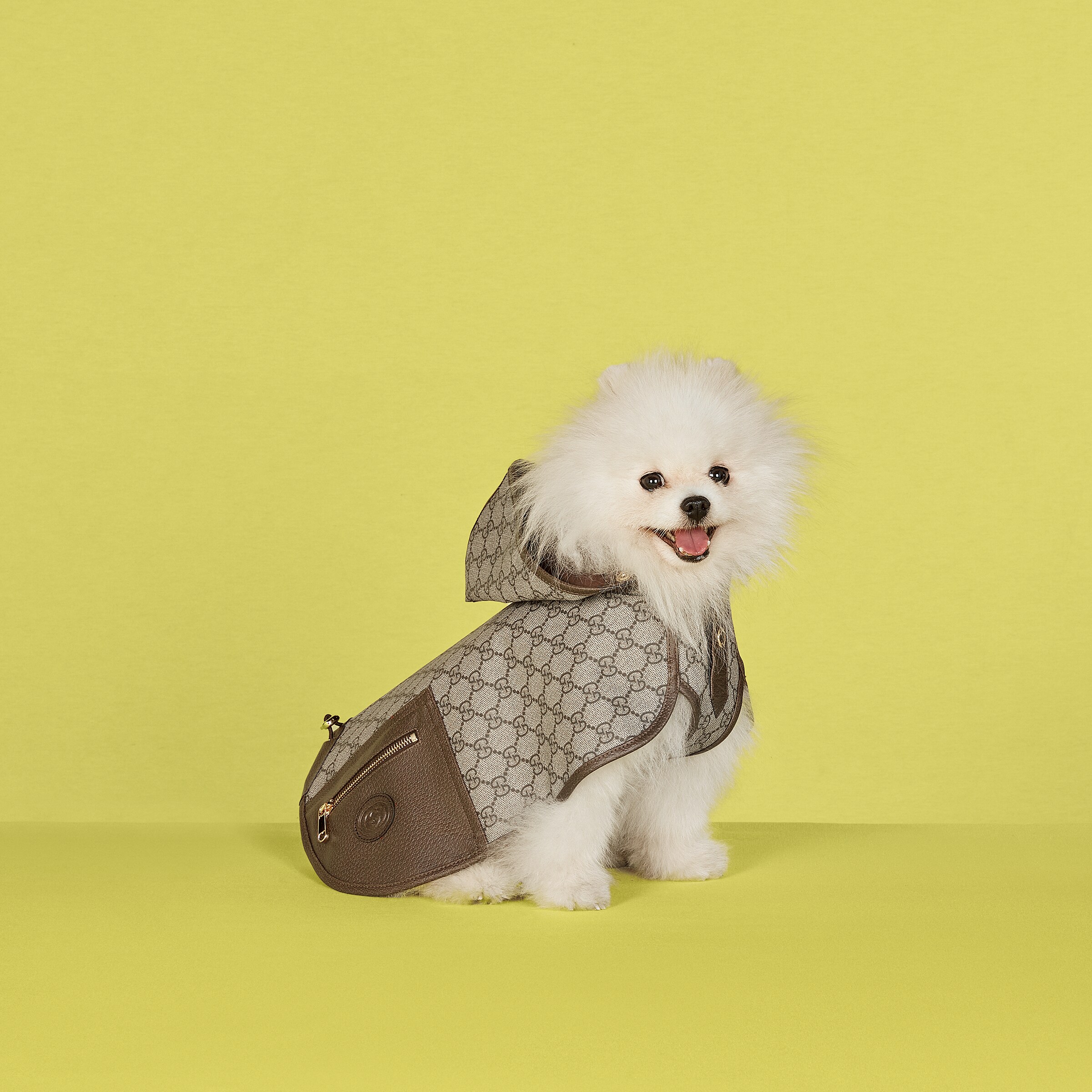 Pet GG coat in beige and ebony Supreme | GUCCI® US