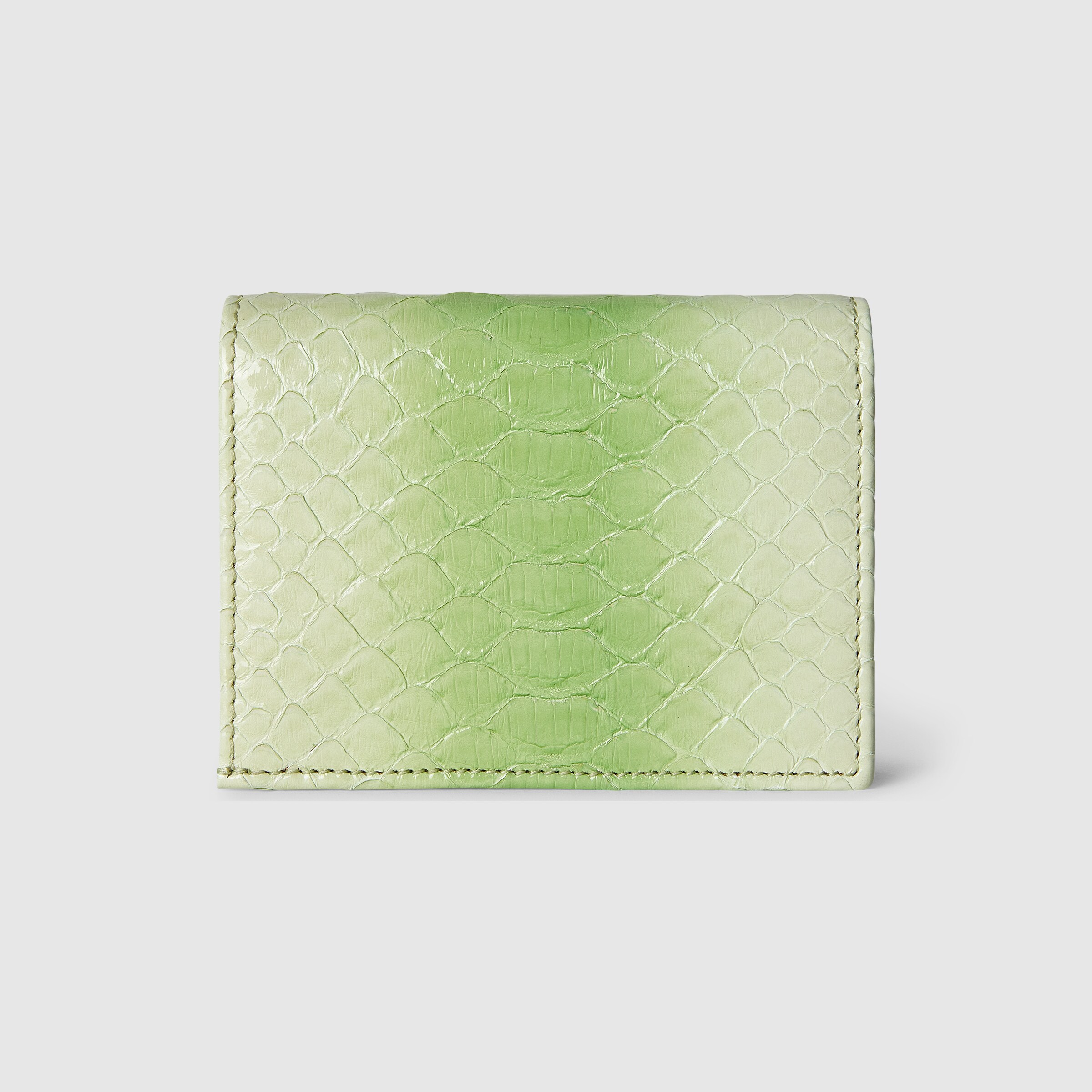 GG Marmont python card case wallet in gradient green | GUCCI® US