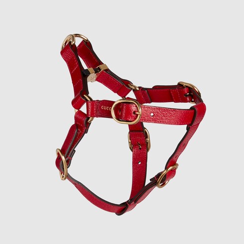 Small/medium pet harness in red Demetra | GUCCI® Australia