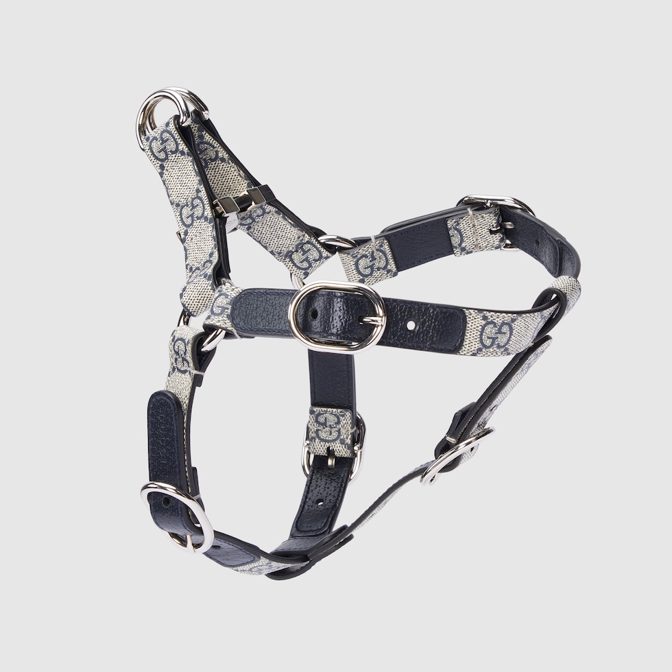 Small/medium pet harness in beige and blue Supreme | GUCCI® US