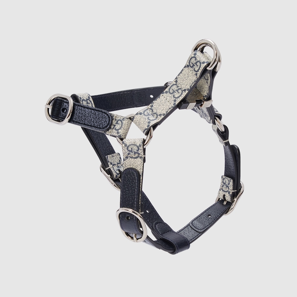 Small/medium pet harness in beige and blue Supreme | GUCCI® US