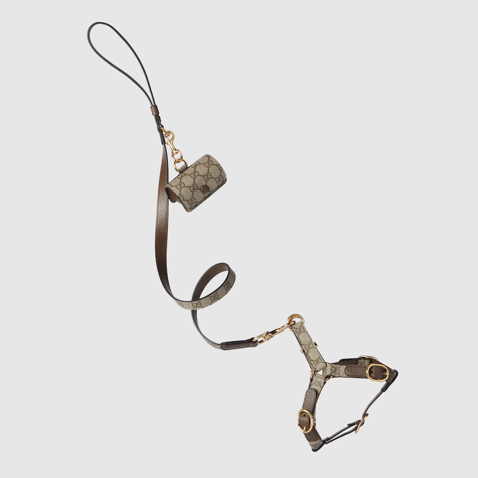 Small/medium pet harness in beige and ebony canvas | GUCCI® SI