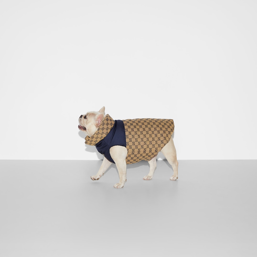 Reversible GG pet coat in beige and blue | GUCCI® NL