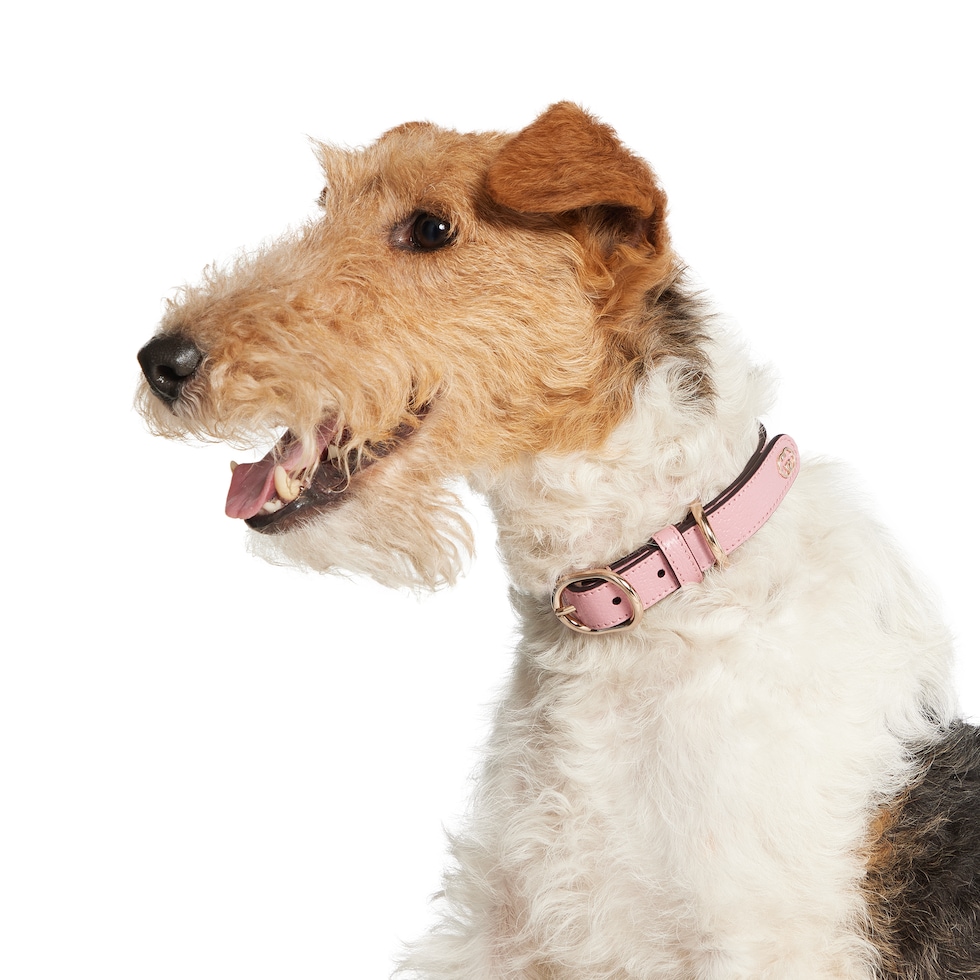 Small/medium collar in powder pink fabric | GUCCI® US