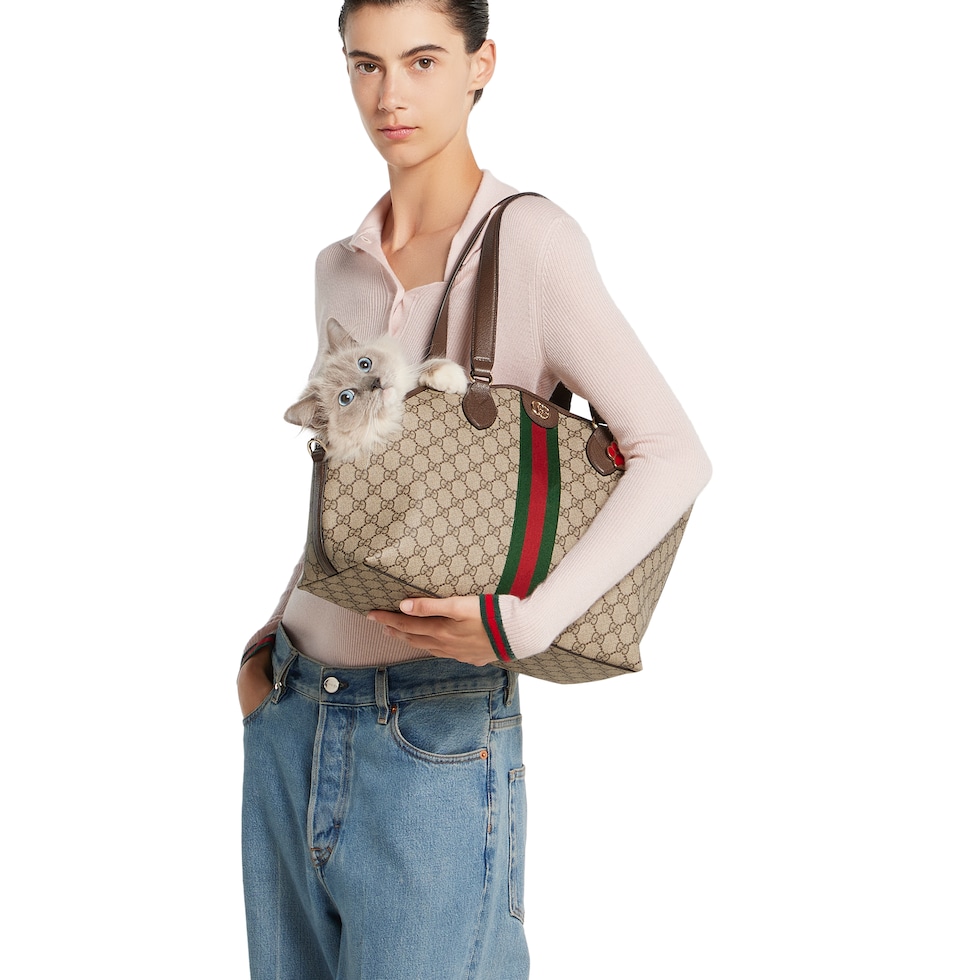 GG Monogram small pet tote bag in beige and dark brown fabric | GUCCI® CA