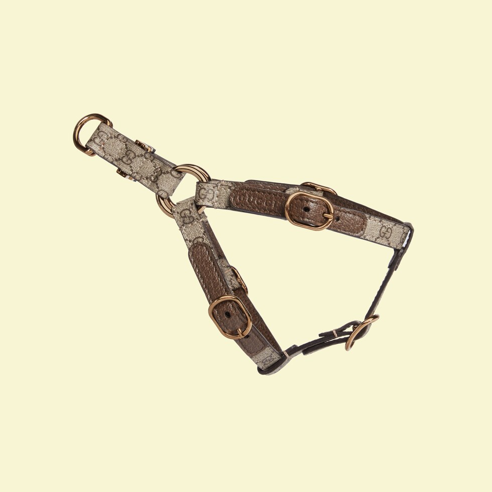 Extra-small pet harness in beige and ebony canvas | GUCCI® AE