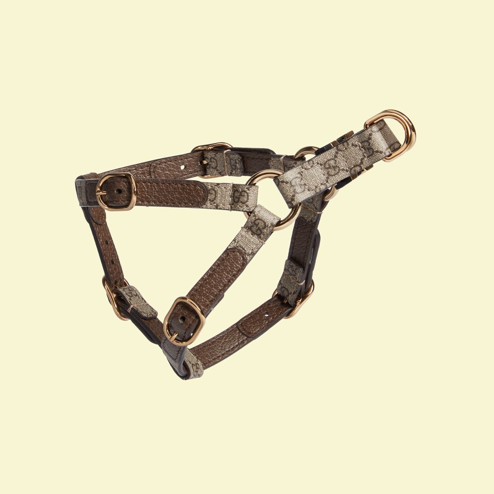 Extra-small pet harness in beige and ebony canvas | GUCCI® AE
